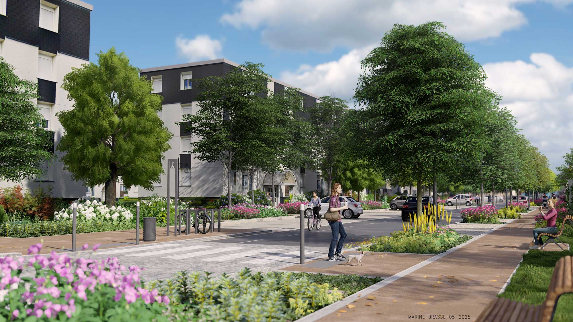 Requalification de l'avenue de Pasly - Ville de Soissons